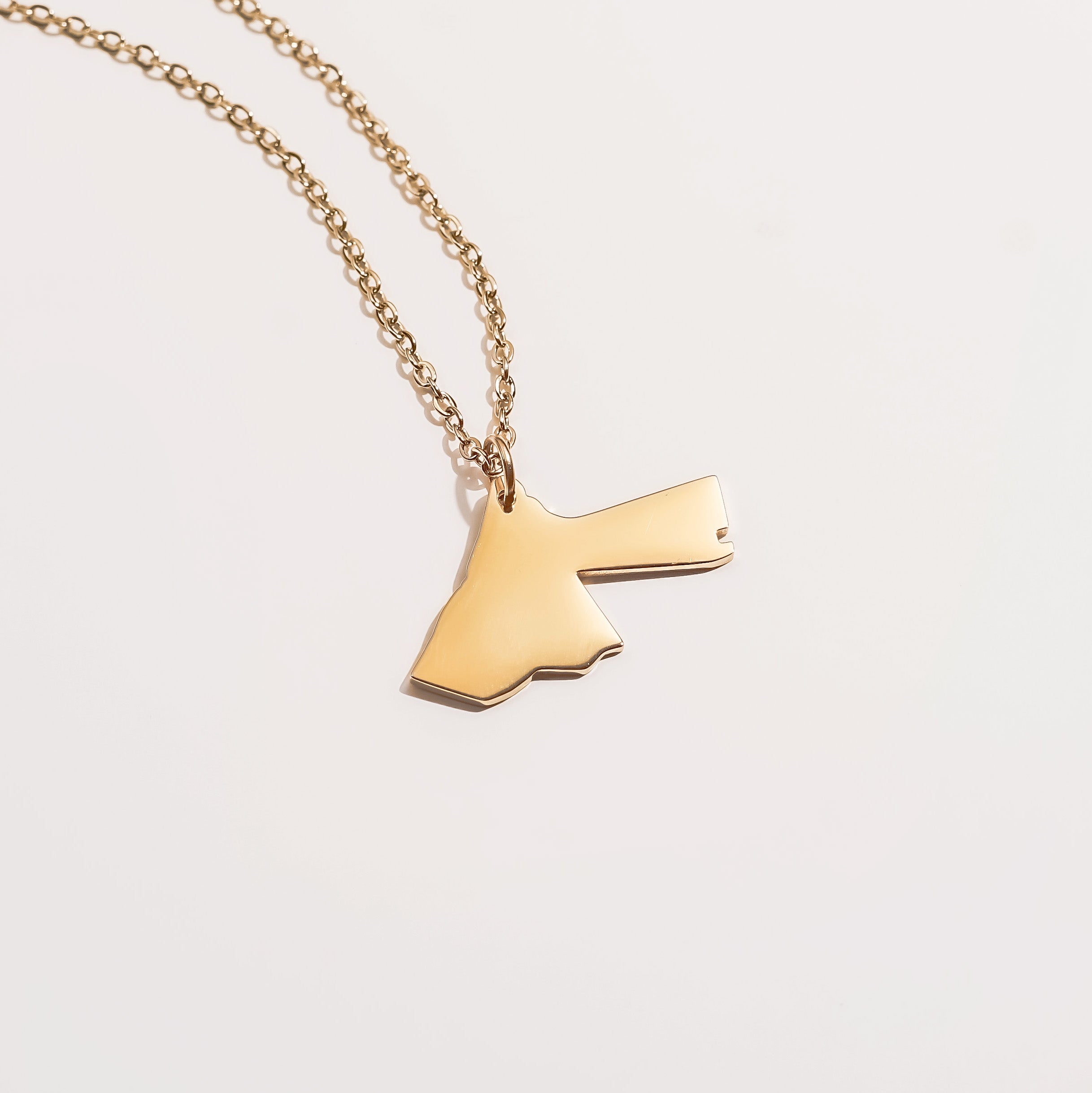 Jordan Map Pendant Necklace | Gold – Kenz Jewelry